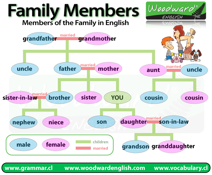 CPI Tino Grandío Bilingual Sections: Who's who in a family