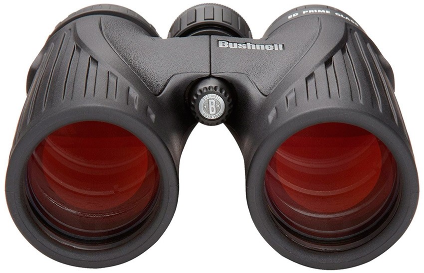 Bichos e demais familia: Bushnell Legend Ultra HD 10x42, prueba de campo