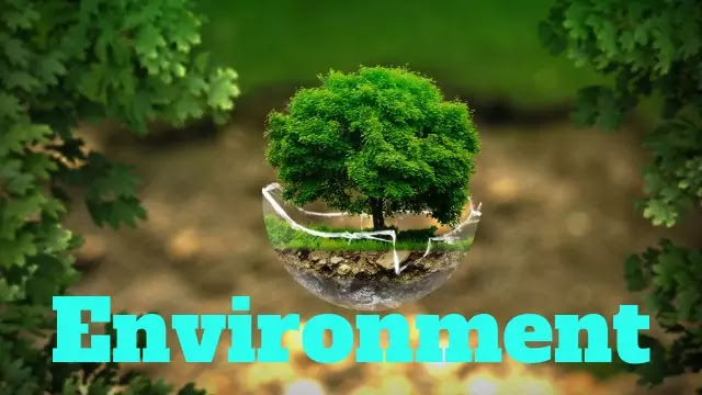 110 Plus Top Environmental Questions And Answers Pdf For Quiz 110-plus-top-environmental-questions-and-answers-pdf-for-quiz