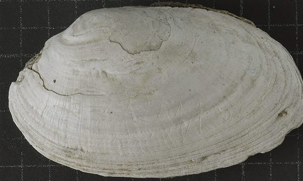 2014 | Patagonian monsters