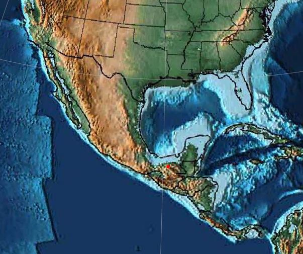 Palaeos, la historia de la Vida en la Tierra: La primera tortuga "nariz ...