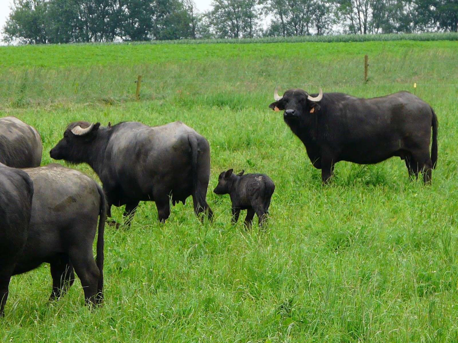 Blog de la 5e A de l'Institut Saint-Joseph de Neufchâteau: Visite de la ...