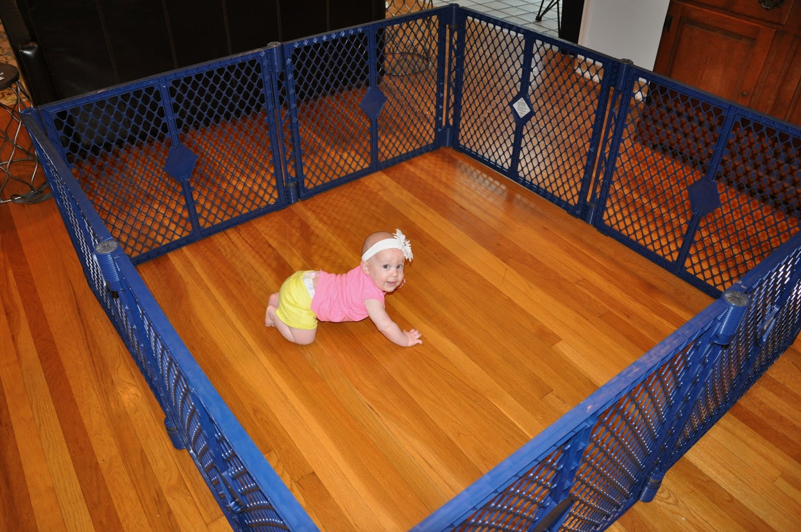 Lag Liv: Cages and Fish