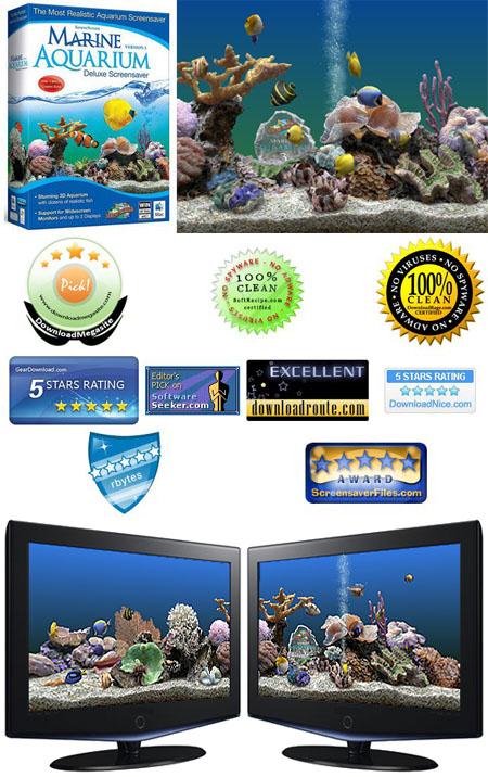 Serenescreen marine aquarium 3 serial key - packsop
