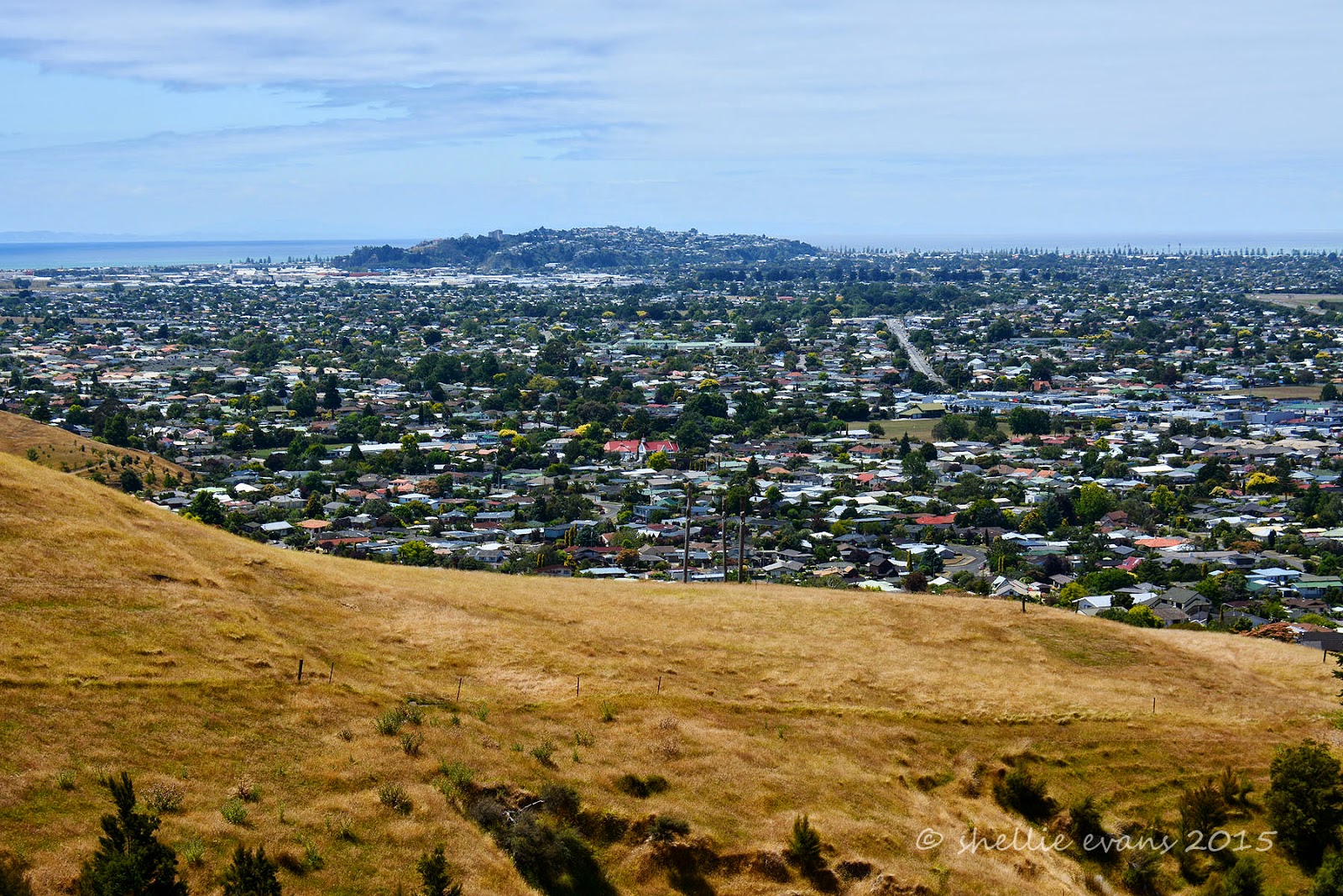 Two Go Tiki Touring: Otatara Pa, Taradale