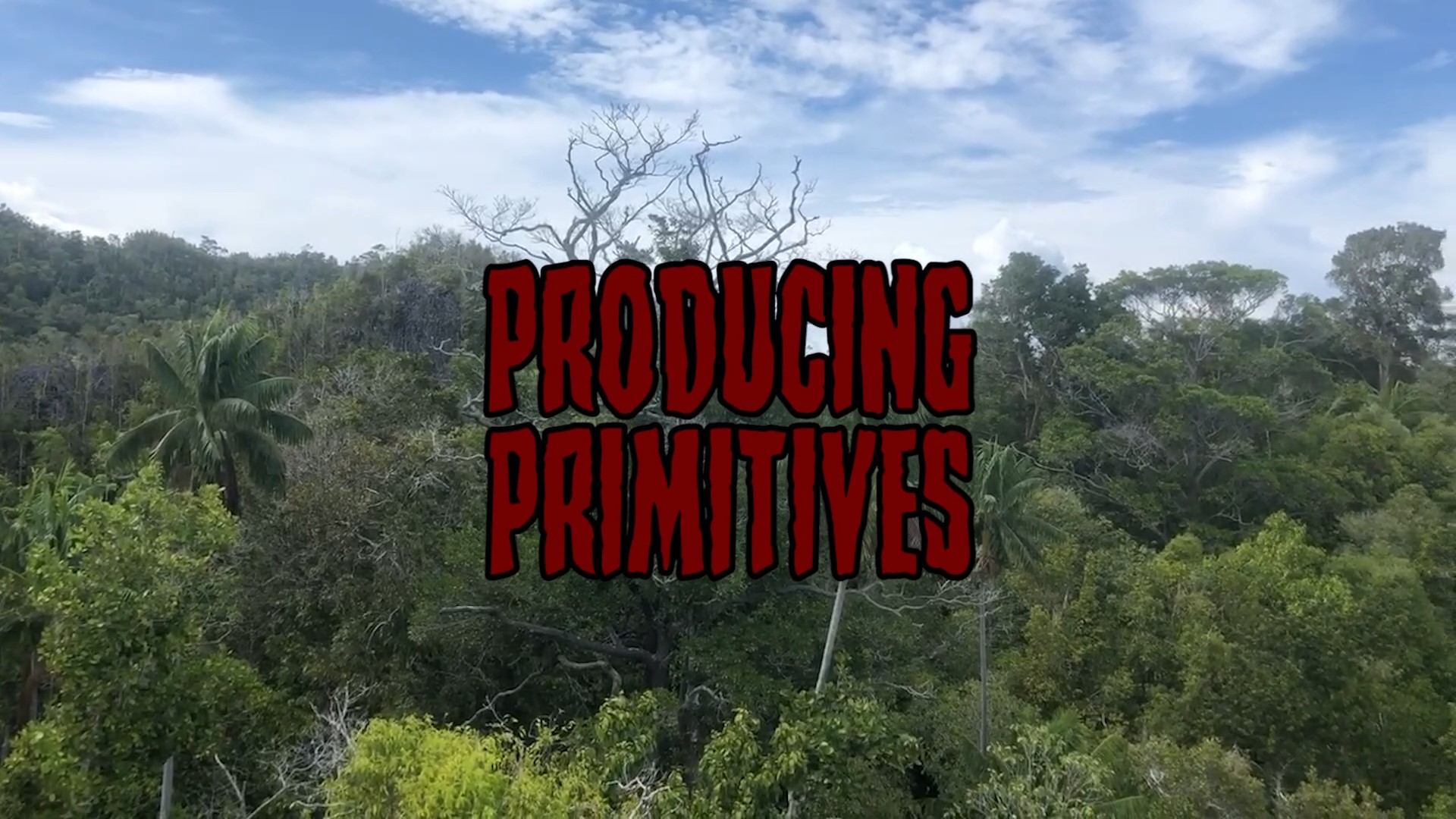 MCBASTARD'S MAUSOLEUM: PRIMITIVES (1980) (Severin Films Blu-ray Review)