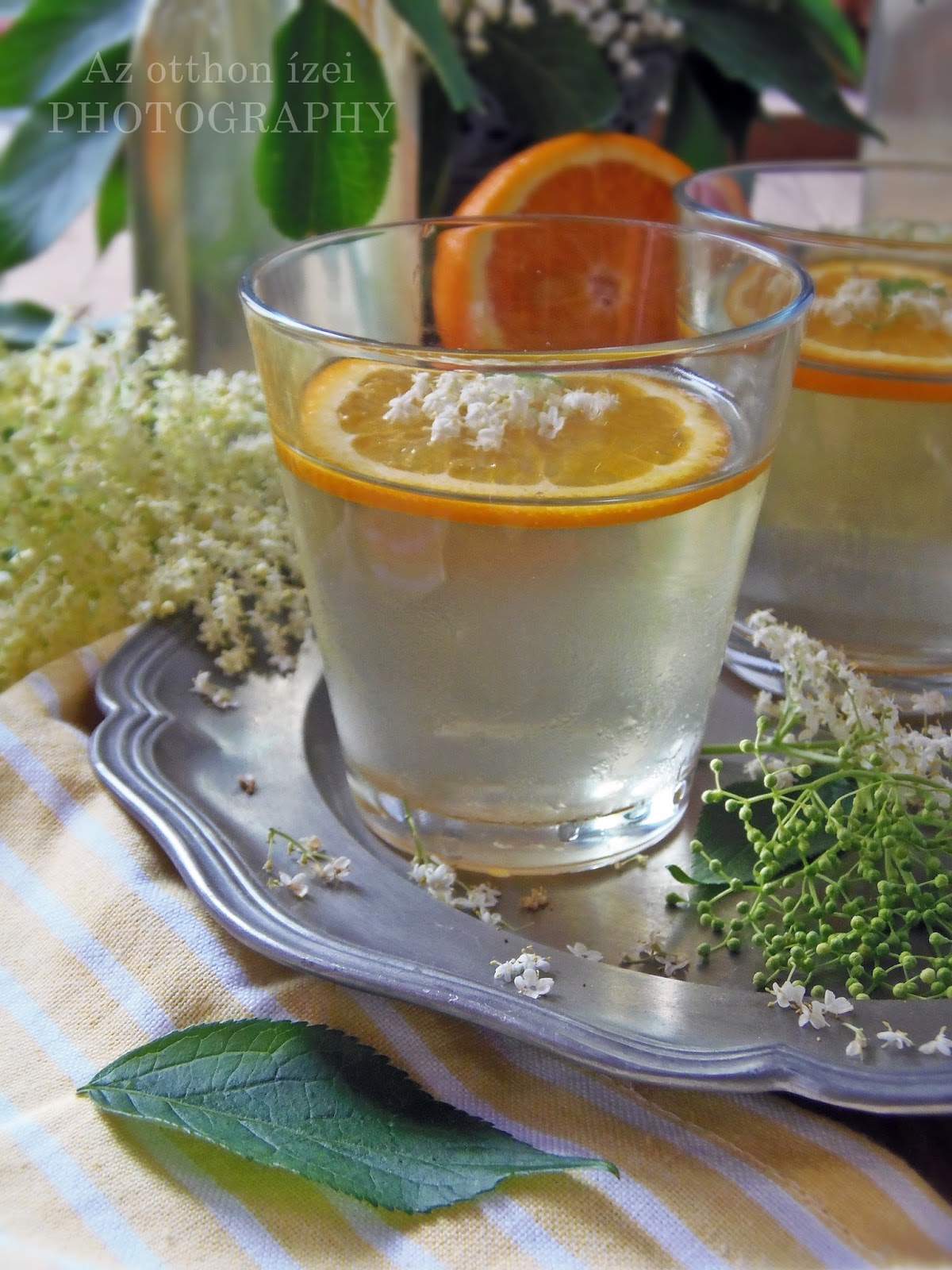 Az otthon ízei: Bodza szirup