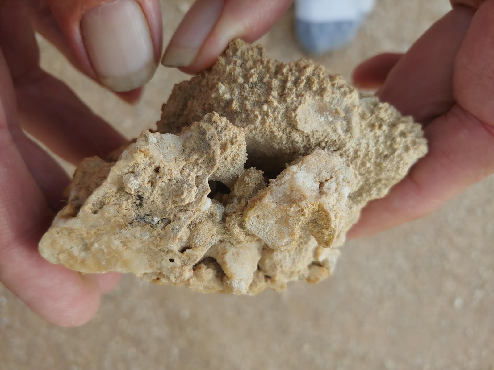 Lovelock Cave Series: Inconsistencies Found in Smithsonian's "Narrative"