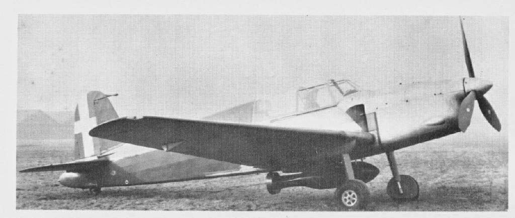 Italian Aircraft of WWII: CAPRONI BERGAMASCHI CA 355