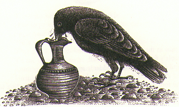 John Vernon Lord: The Crow and the Pitcher