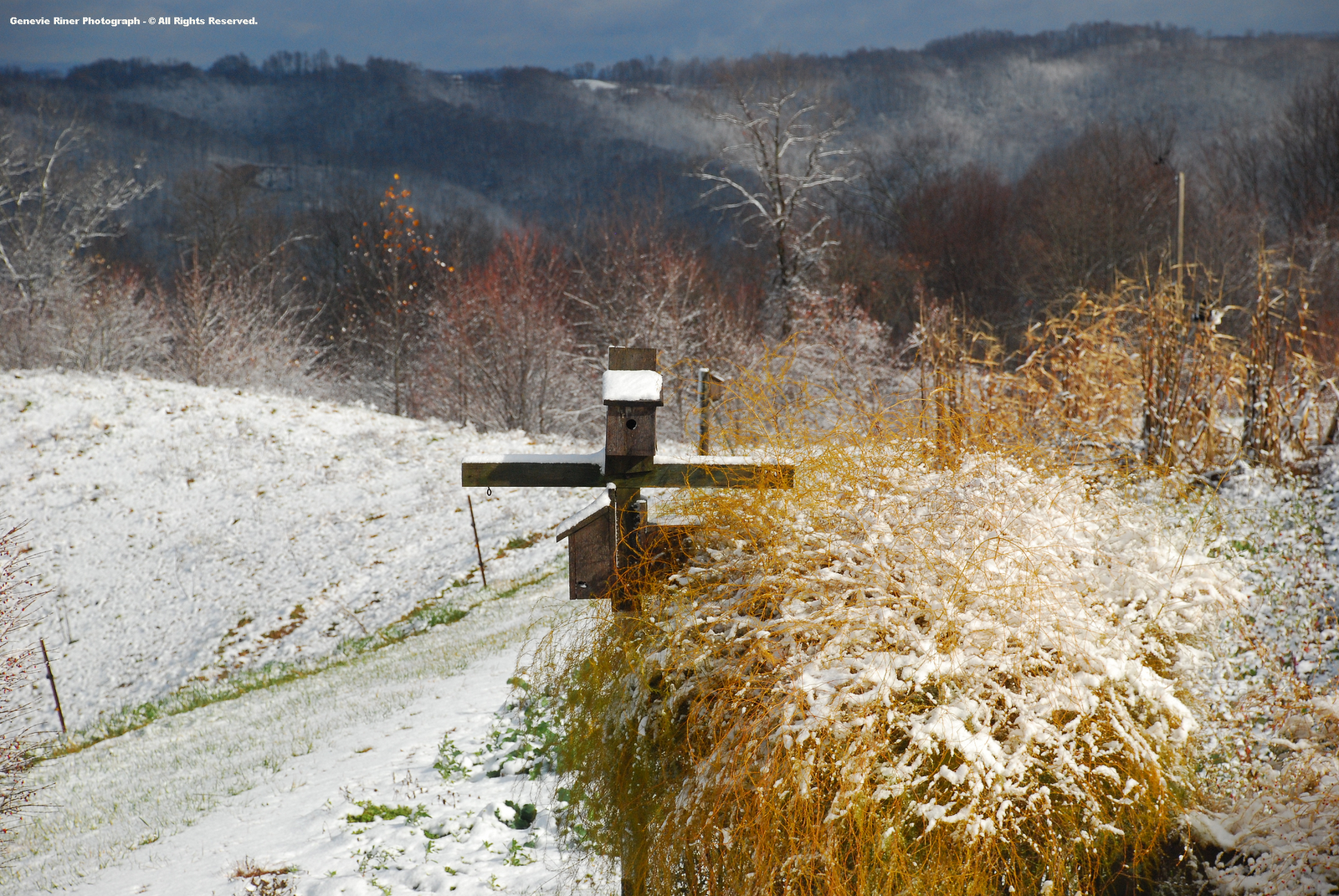The High Knob Landform: Major Mid-November 2011 Storm Event