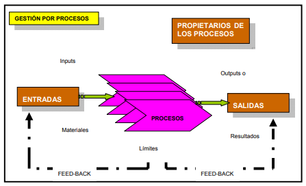ELEMENTOS DE UN PROCESO : ¿POR QUÉ CENTRARSE EN LOS PROCESOS DE LA EMPRESA?