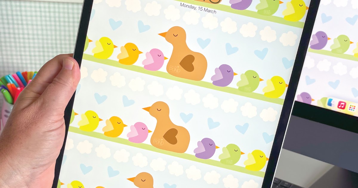 Rainbow Ducks Screen Wallpaper | From the Pond