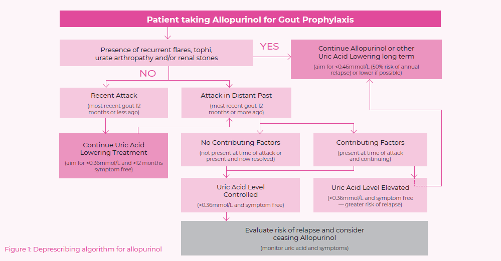 ZONA DE SALUD DE OFRA: (Primary health Tasmania) Guía para deprescribir ...