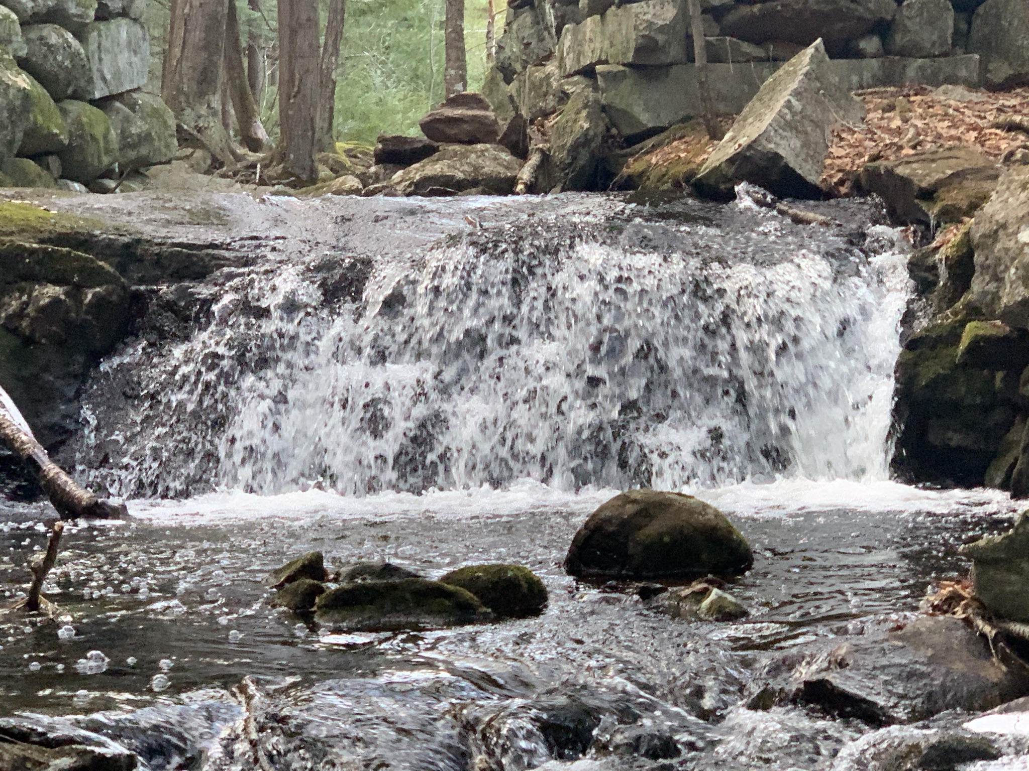 Pulpit Rock Conservation Area NH