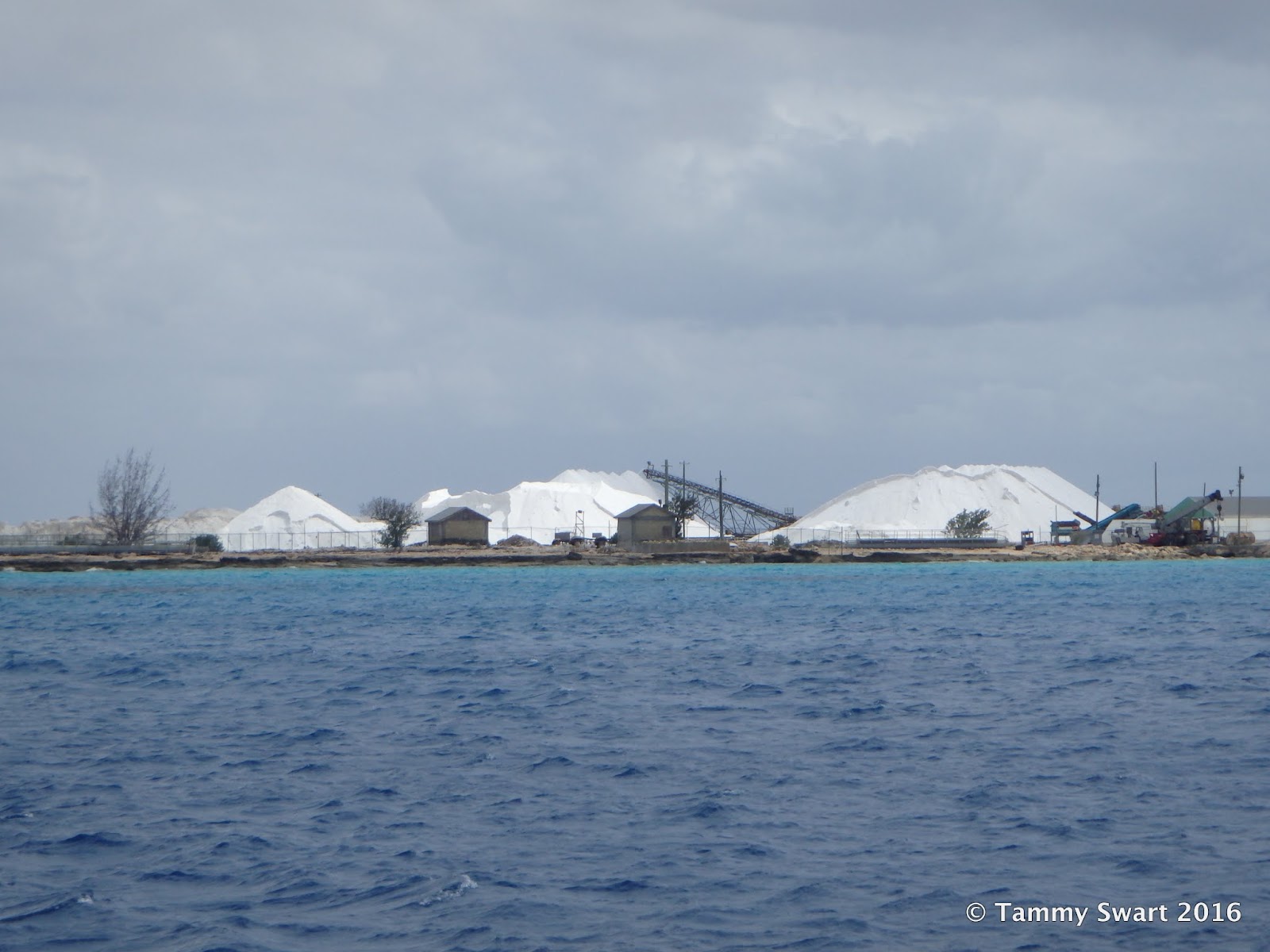 Things we did today...: Great Inagua Far Bahamas