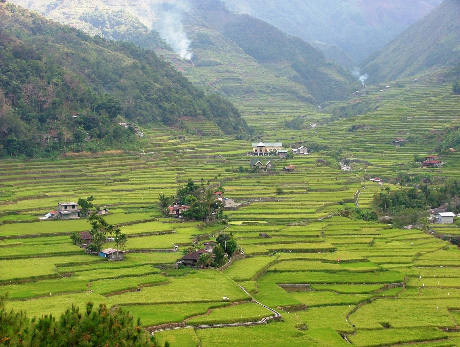 Hapao Rice Terraces