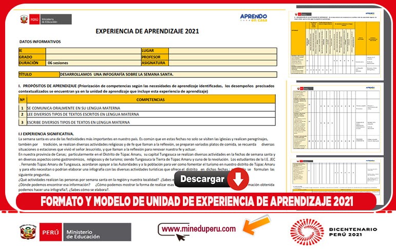Formato y modelo de unidad de experiencia de aprendizaje 2021 | Trabajo Remoto | Ministerio de ...