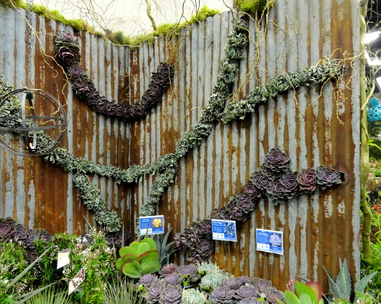 danger garden: More from the Yard, Garden & Patio Show…
