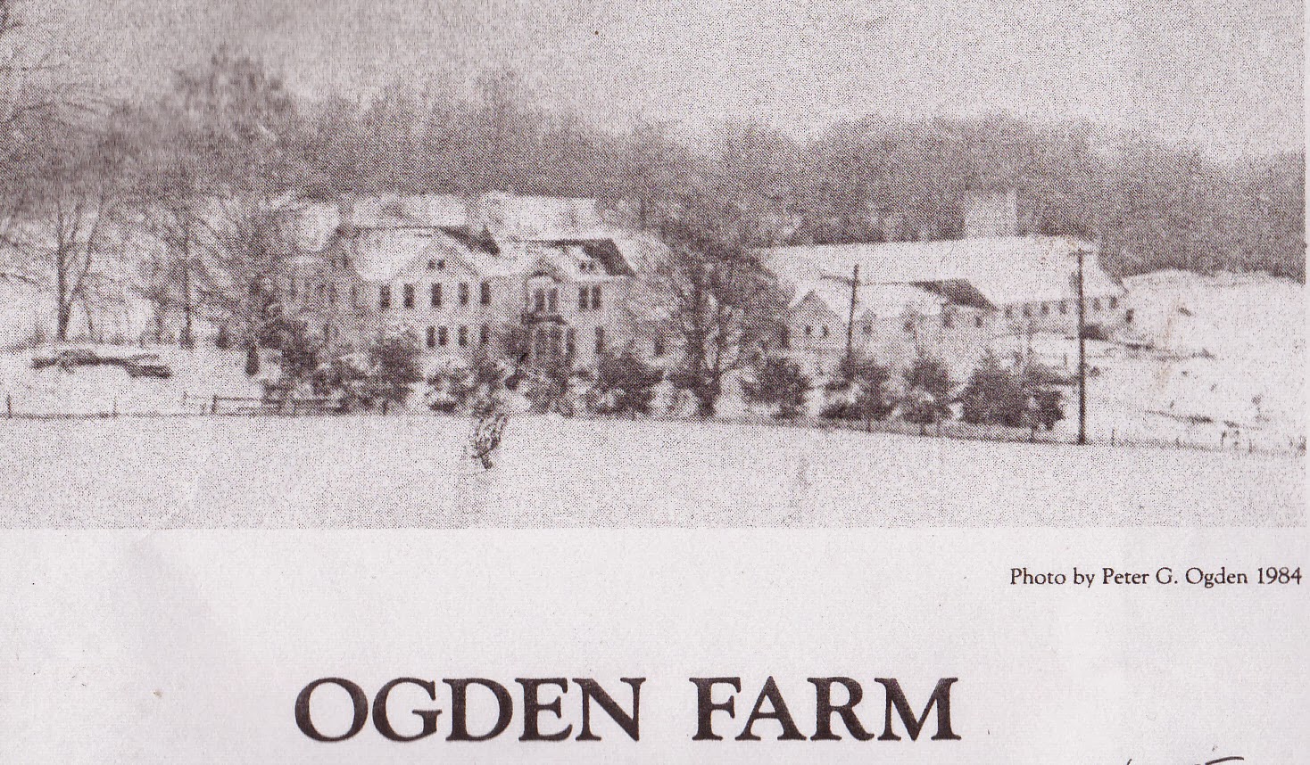 Peter Gumaer Ogden: His Art, Poetry, Ogden Farm, Some People...etc ...