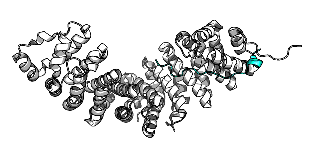 What to look out for with an AlphaFold2 model