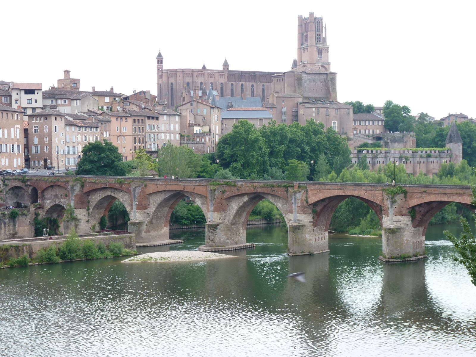The Bruner Family Journey: Albi, Cordes and Onward to Provence
