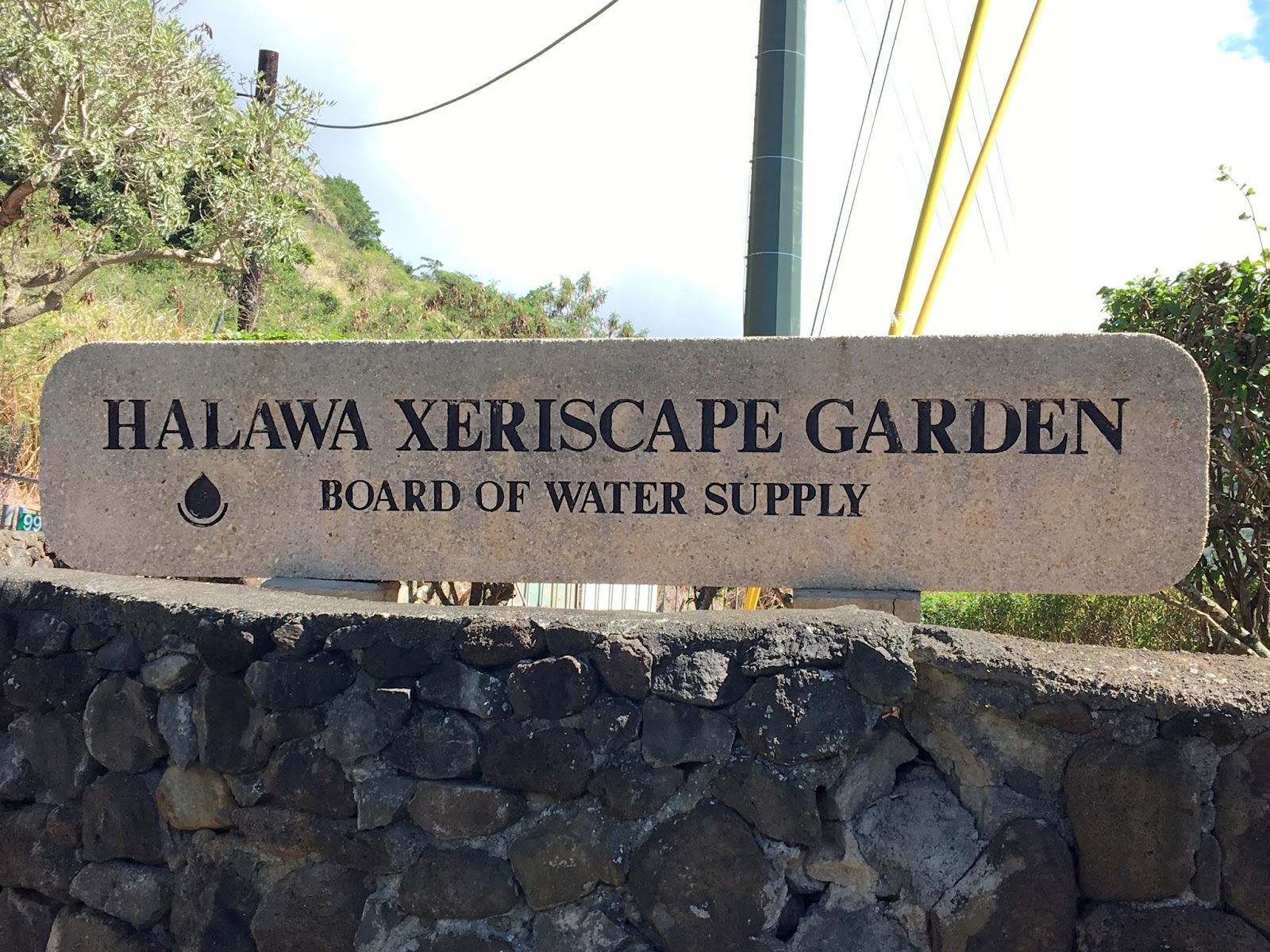 Aloha from Hawaii: Halawa Xeriscape Garden: A place for lovers of ...