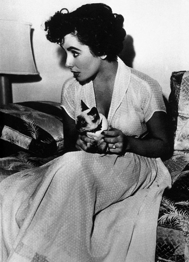 20 Lovely Vintage Photos of a Young Elizabeth Taylor Posing With Her ...