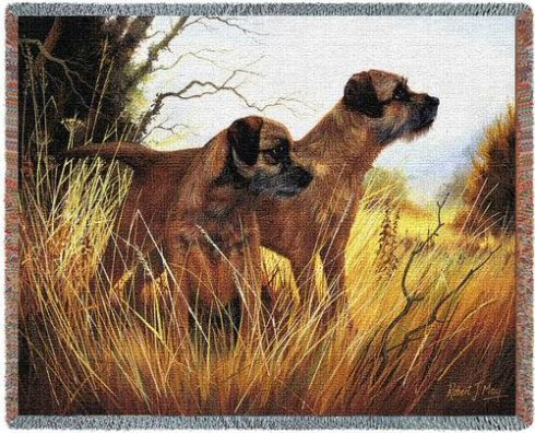 Animal Gift Ideas UK: Gifts for Border Terrier Lovers & Owners UK