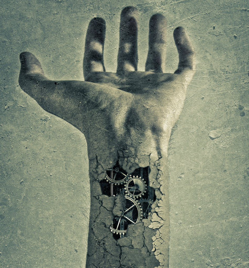 Bowalley Road: Democracy's Disappearing Hand