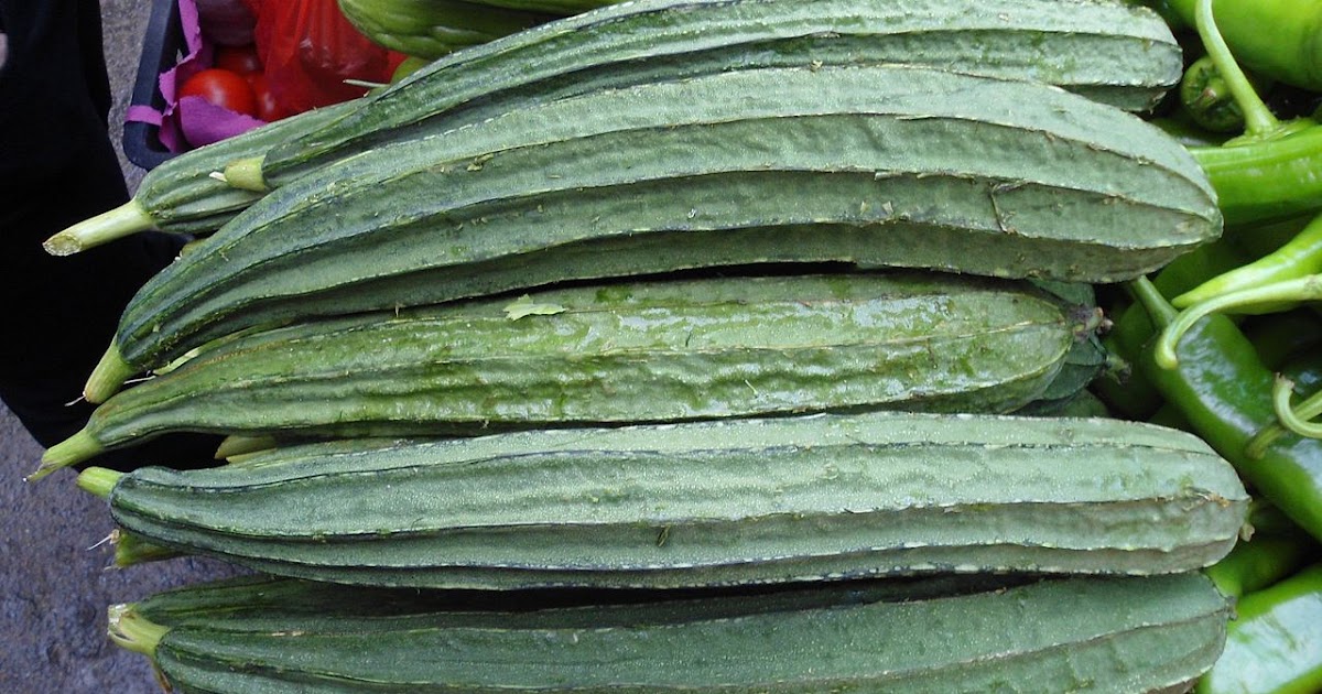 10 Manfaat Sayur Gambas Bagi Kesehatan | Bumil Balita