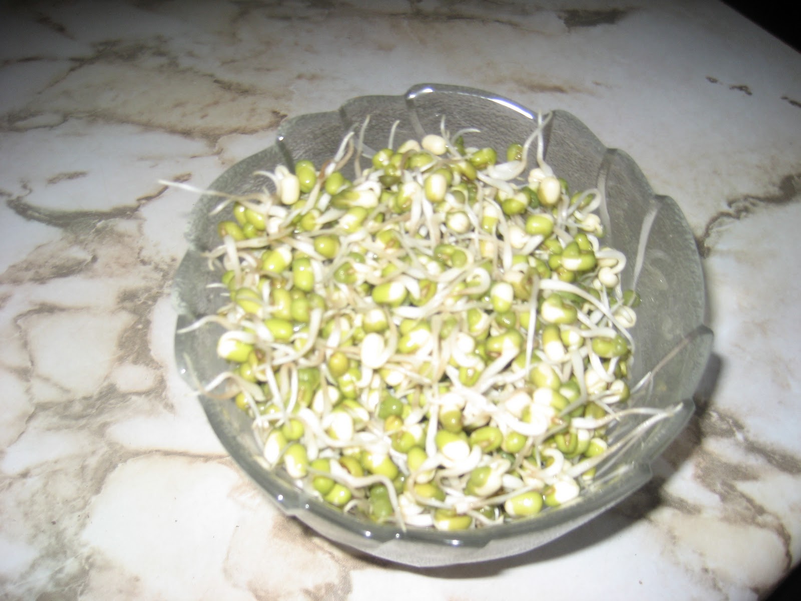 les trucs de Maria: germination fèves mung