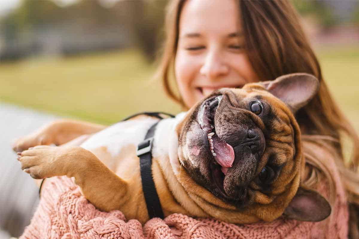 Human-dog relationship