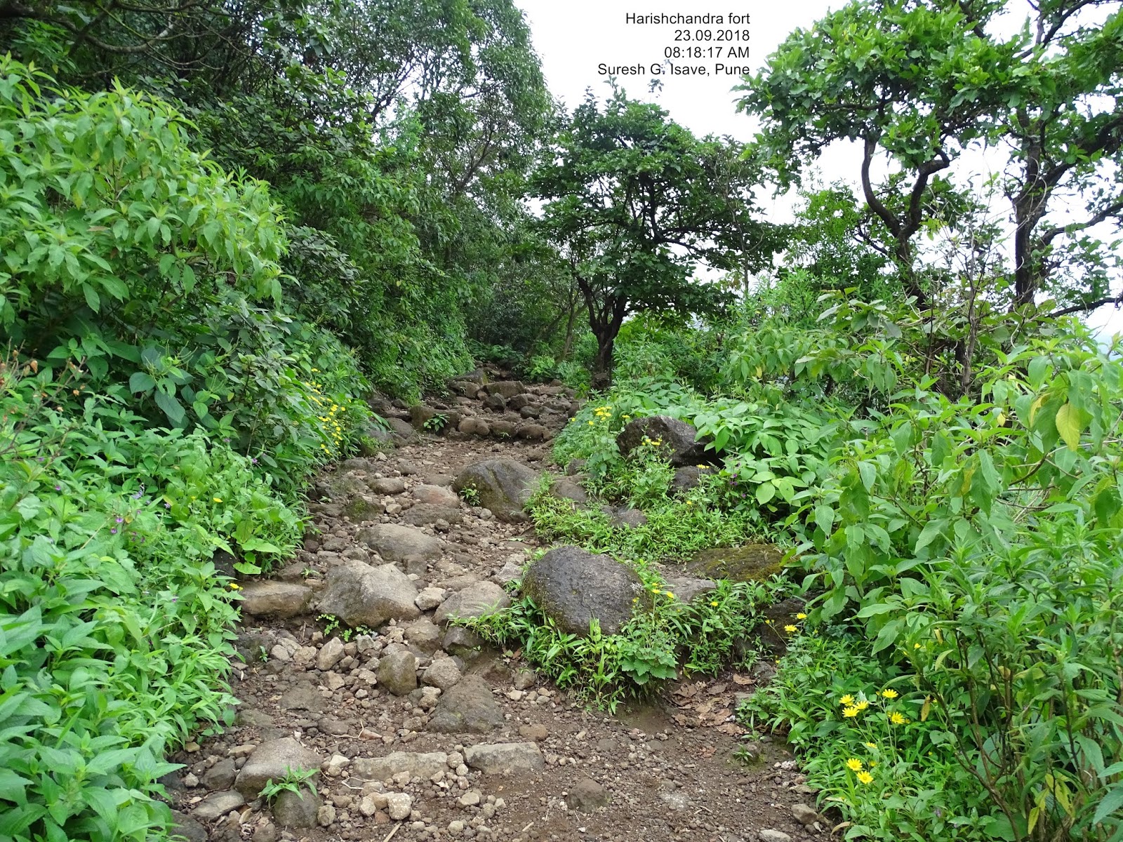 My Treks n Tours: Harishchandra Fort