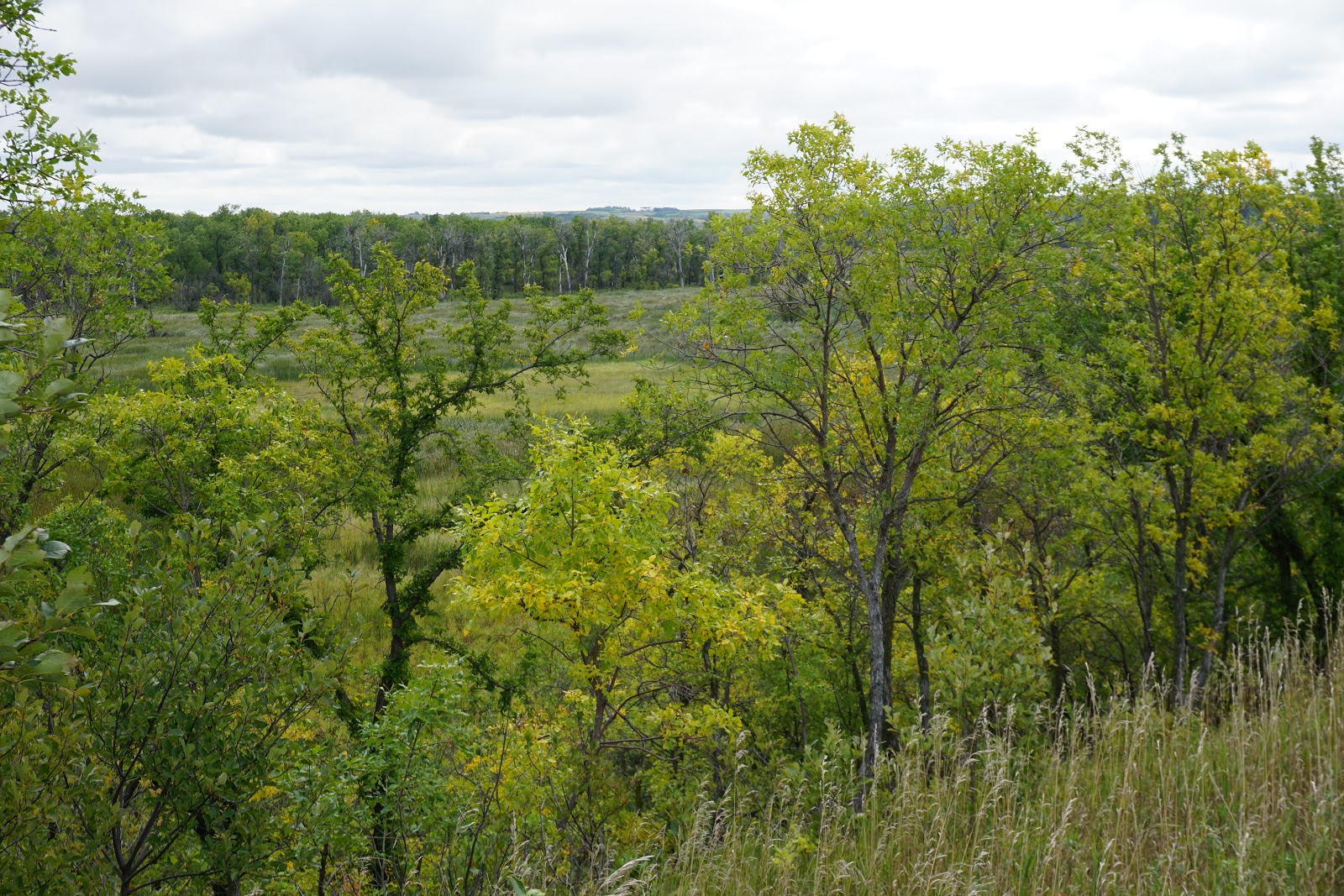 Souvenir Chronicles: NORTH DAKOTA: FORT MANDAN, FORT CLARK, AND INDIAN ...