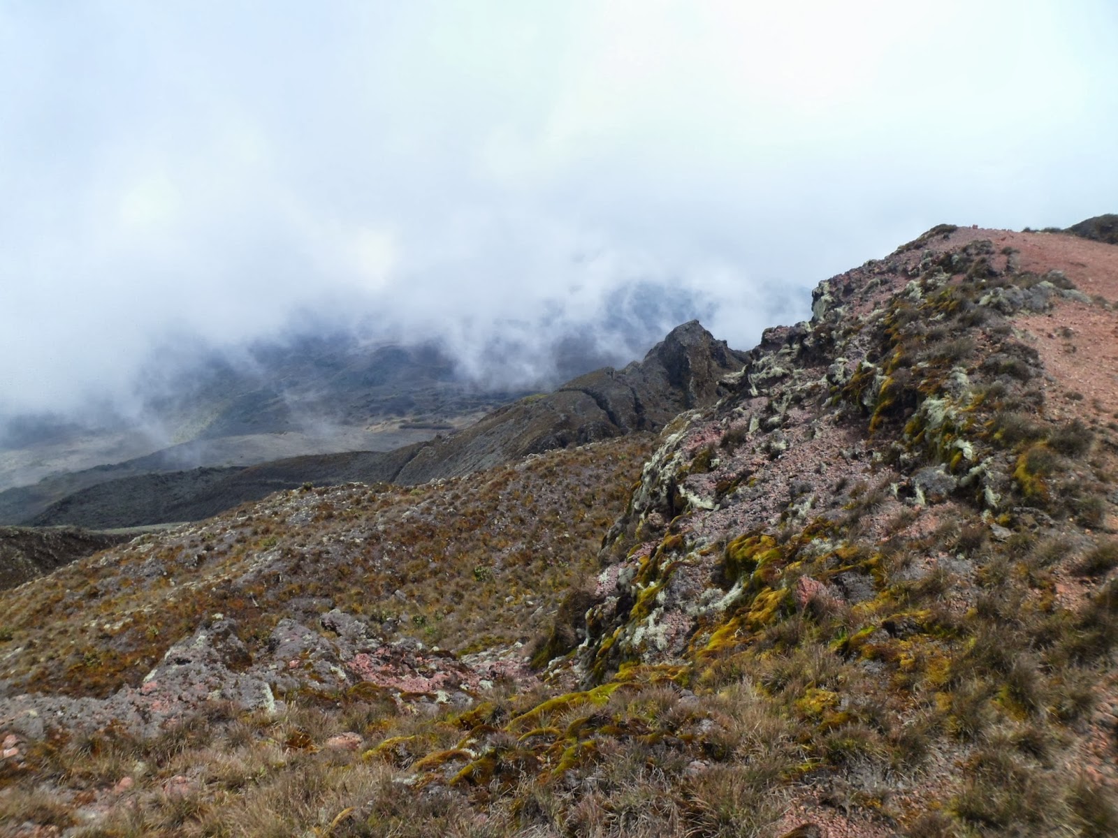 Caminos y miradas: Ascenso al Monte Camerún... y descenso
