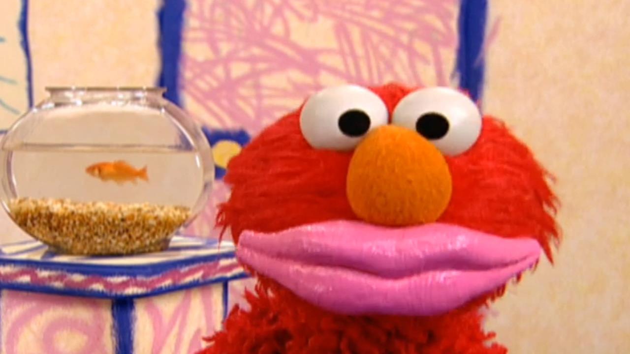 Watch Elmo's World Mouths