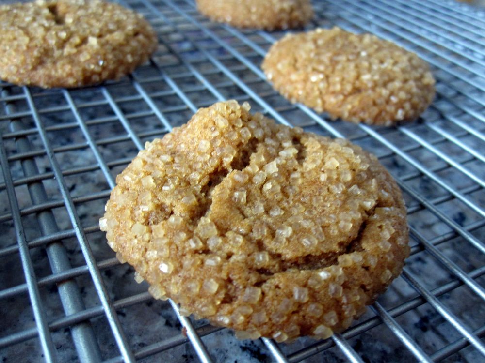 Happy Go Marni: Exotic Spice Cookies with Ginger, Cardamom and Rose ...