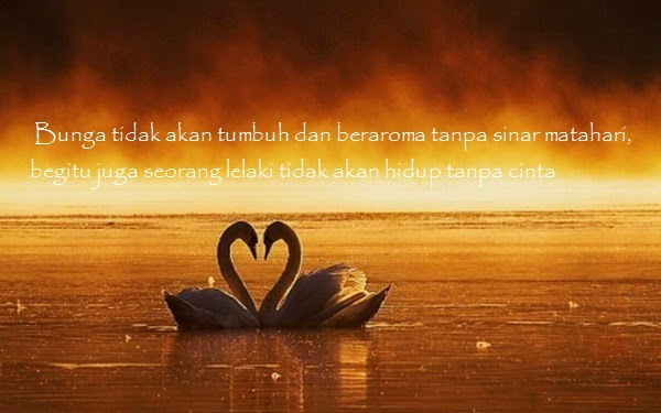 Kata Kata Mutiara Cinta Romantis Terbaru - Kata MUtiara Bijak Cinta ...