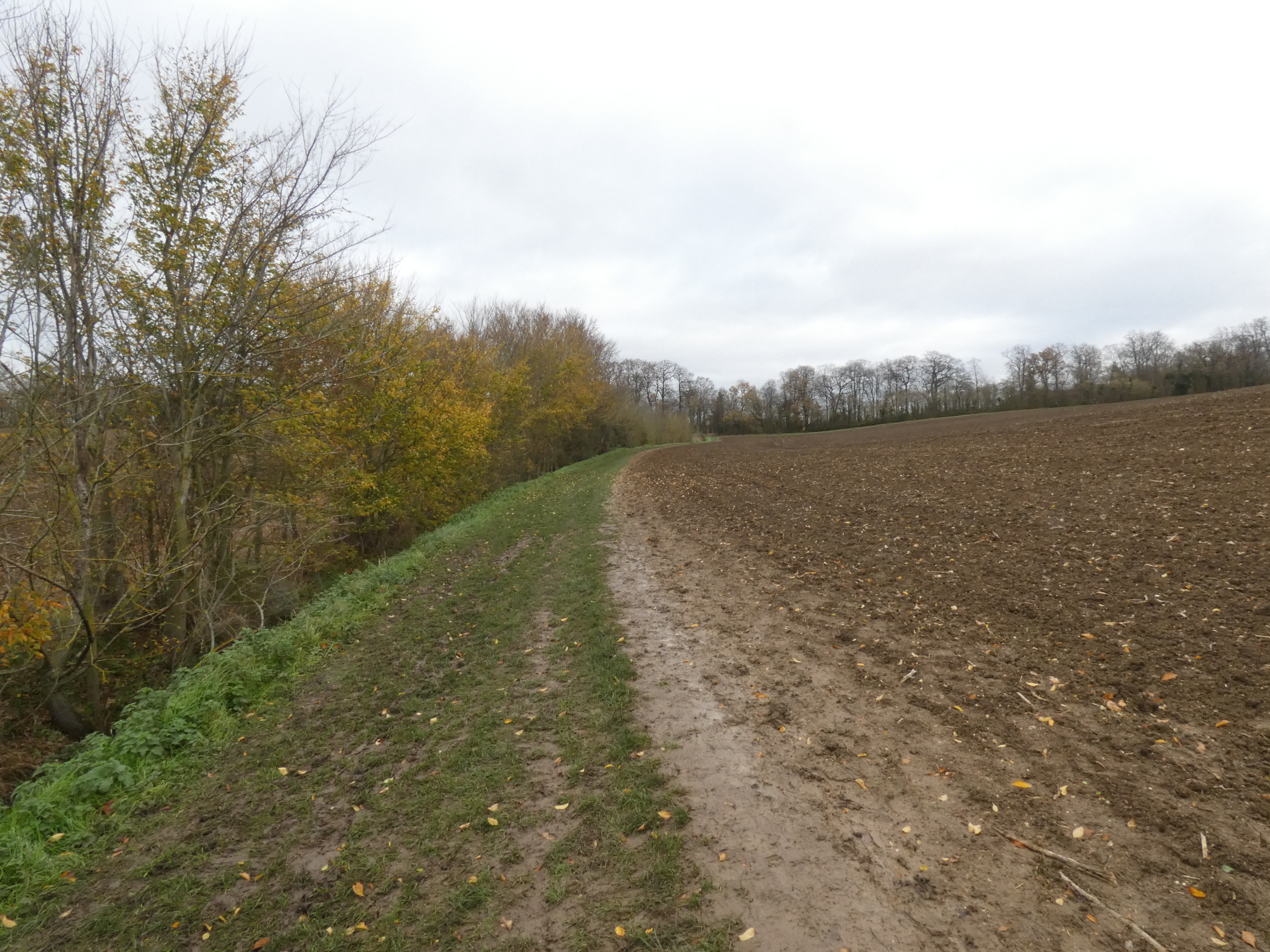 Boz North's Trail - Walking Blog: Whaddon to Cambridge via The Wimpole ...