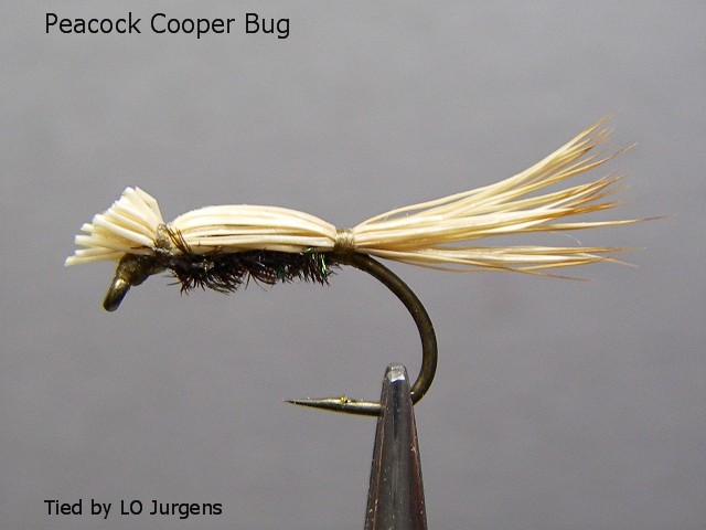 LoJ Ramblins': The Venerable Cooper Bug