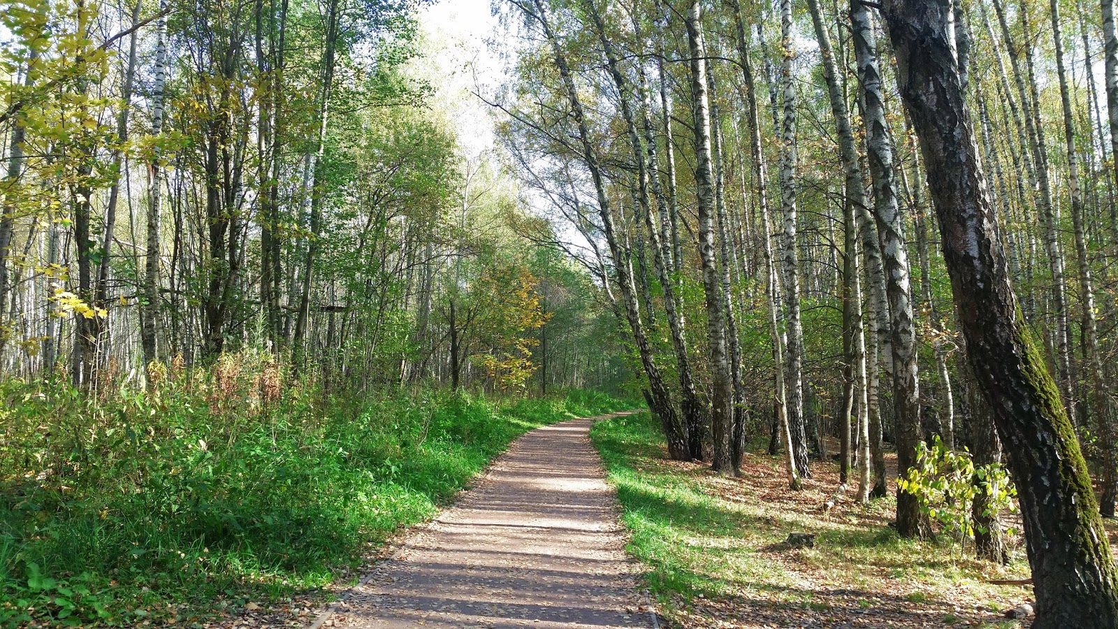 Nature Trail Builder Pensacola: Available lots in the Nature Trail ...