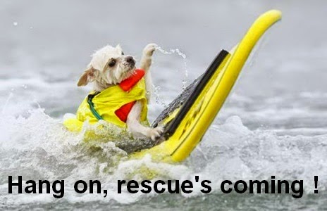 Fix Pacifica: Upcoming Pacifica Community Emergency Response Team (CERT ...