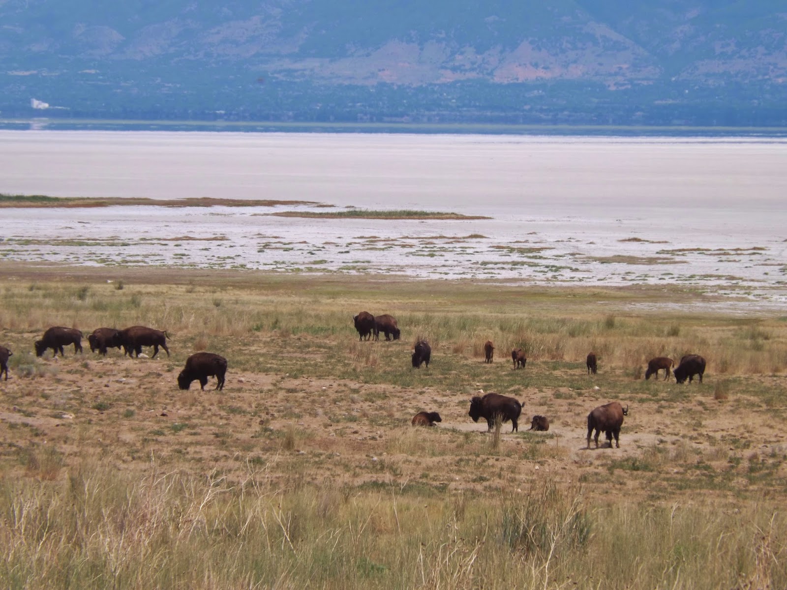 Hand Hug: Antelope Island