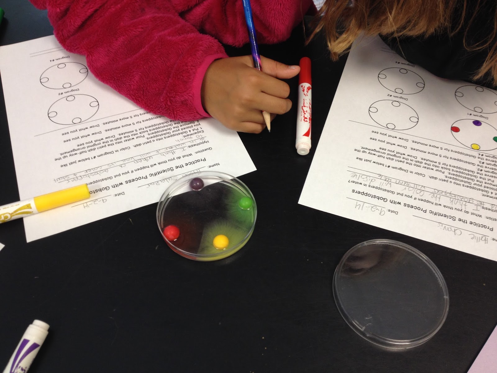 Growing Grade by Grade: The Gobstoppers Science Experiment