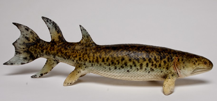 Simplified Science for Non Scientists