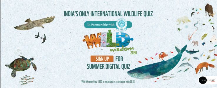 WILD WISDOM QUIZ - SUMMER DIGITAL QUIZ - Scholastic World - Contests ...