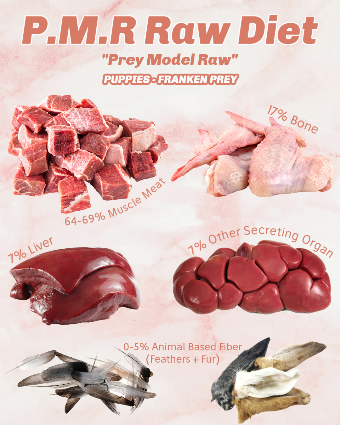 PMR Ratio Diet- Feeding Adult Dogs & Puppies | Hannah Ra