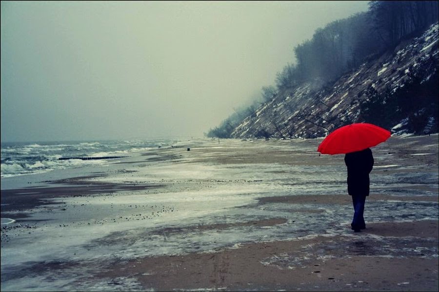La soledad emocional es la que más duele - EL CLUB DE LOS LIBROS PERDIDOS