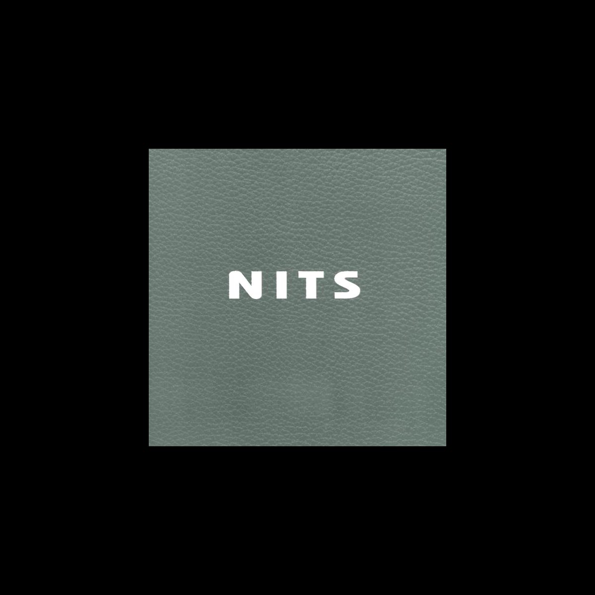 Classic Rock Covers Database: Nits - Nest (1995)